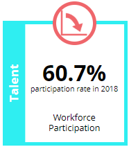 Talent Indicators - Erie Vital Signs